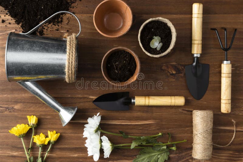 Top View Tools Gardening. High Quality Photo Stock Image - Image of ...