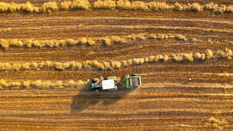 Top View of Tractor with Round Baler on Fields Stock Footage - Video of ...