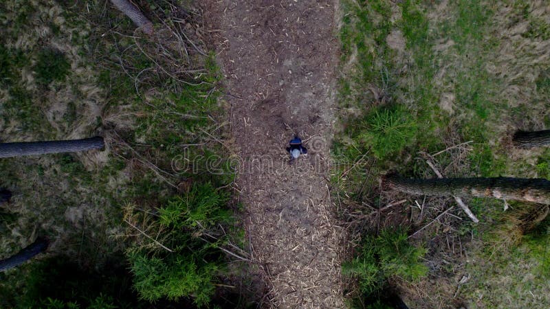 Top View of a Trail in a Forest with a Man Walking through it Stock ...