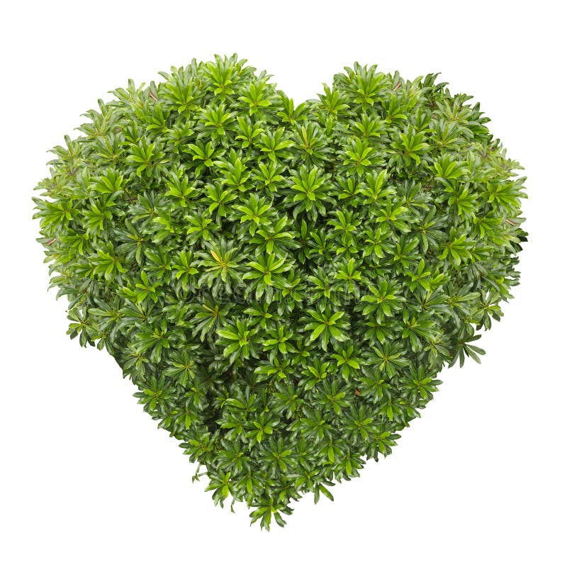 Abstract Green Tree Top View Stock Illustration - Illustration of ...