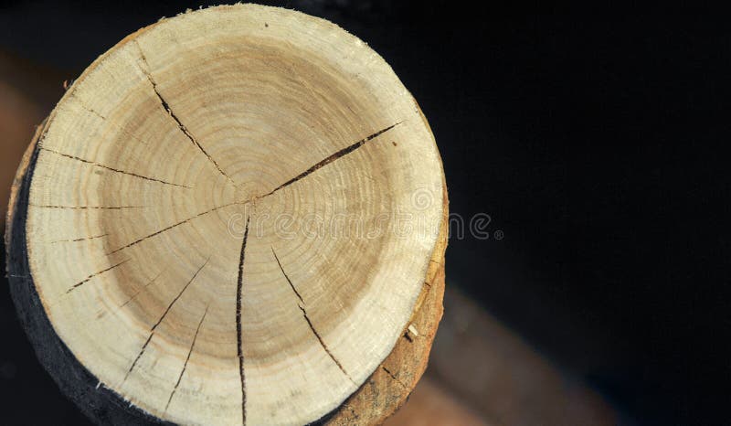 Top View of a Tree Stump on Background Radial Cracks Stock Photo ...