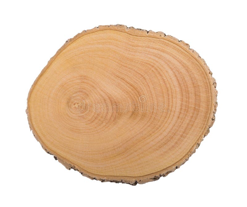 Top view of a tree stump stock image. Image of firewood - 81974681