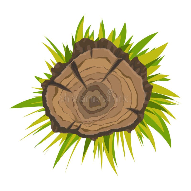 Top View Tree Stump Icon, Cartoon Style Stock Vector - Illustration of ...