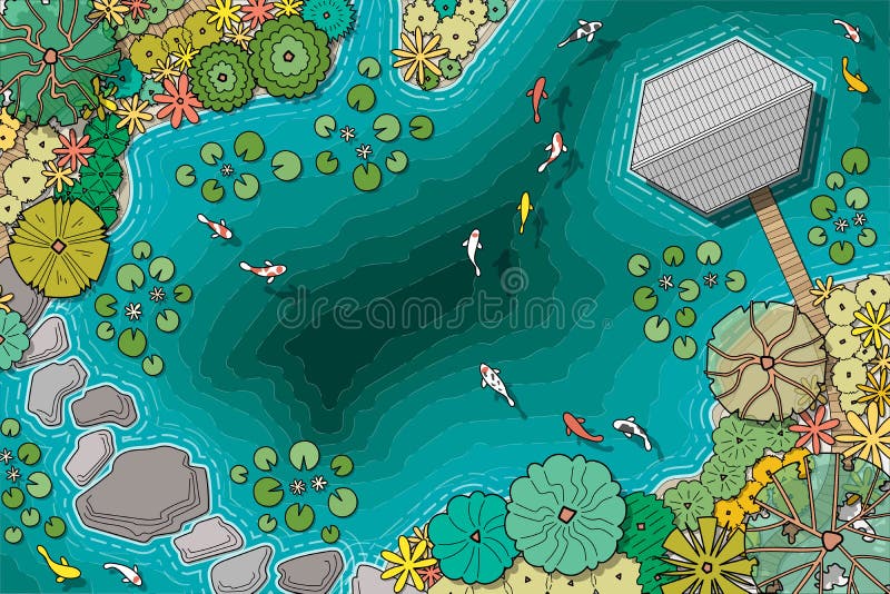 Top View Landscape Design Element with Koi Fish Pond Stock Vector ...