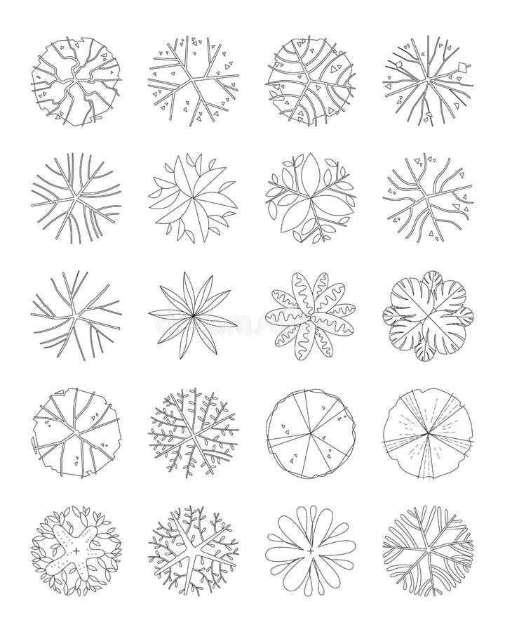 Top view tree vector set stock vector. Illustration of abstract - 237385555