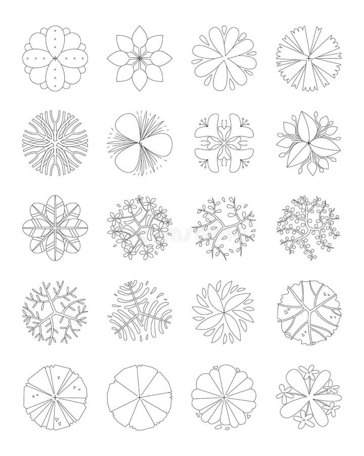 Top view tree vector set stock vector. Illustration of icon - 237385587