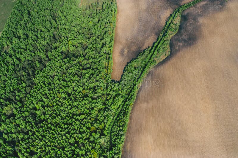 Top View of Trees in Forest Background. Empty Field Stock Image - Image ...