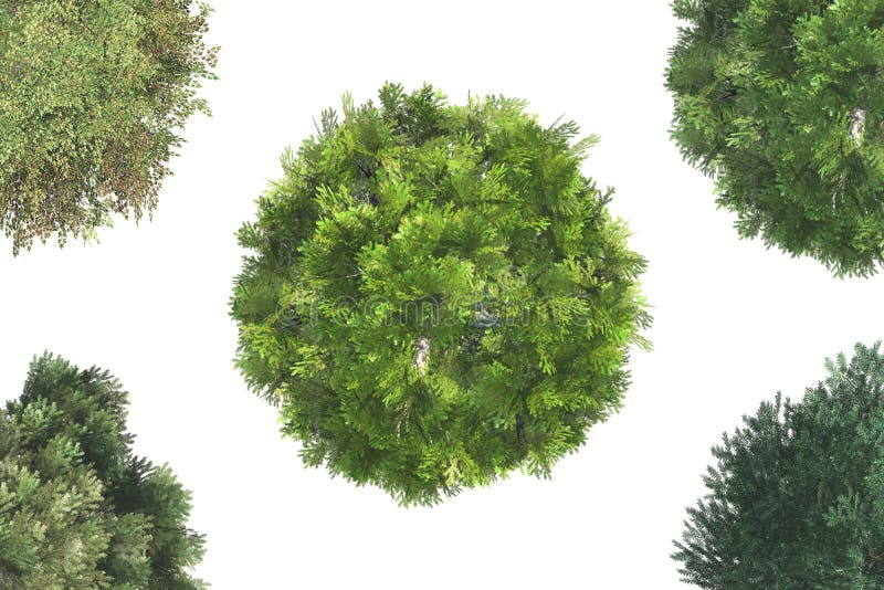 Trees Top View for Landscape Design Stock Vector - Illustration of ...
