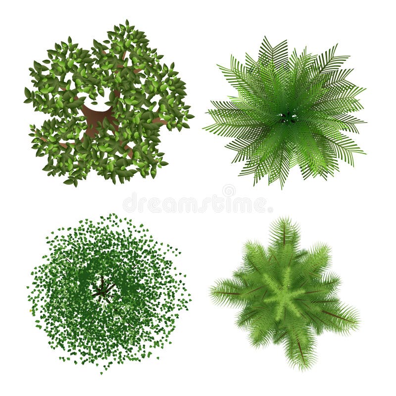 Trees Top View for Landscape Design Stock Vector - Illustration of ...