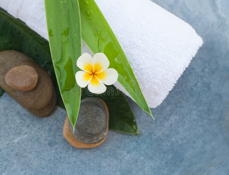 Top View of Tropical Objects for Spa Room Stock Image - Image of bowl ...