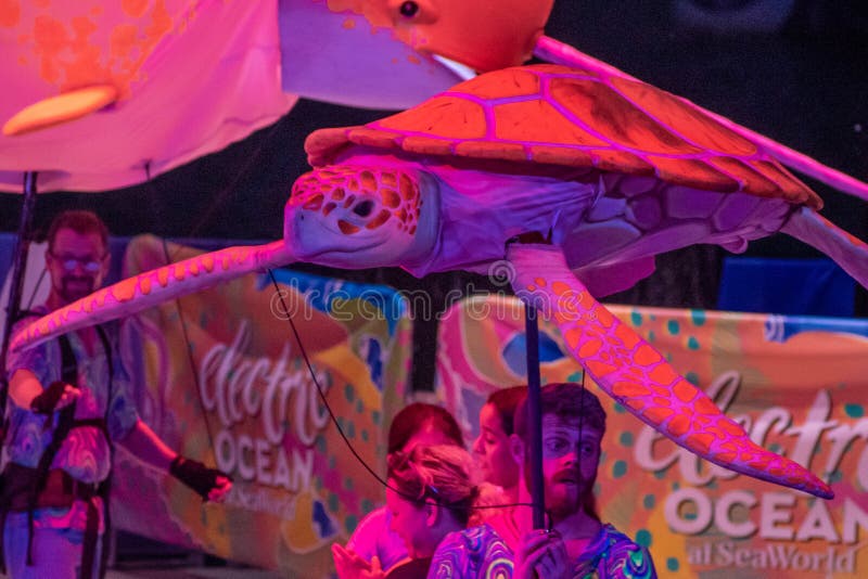 Top View of Turtle Puppet in Electric Ocean at Seaworld 74 Editorial ...