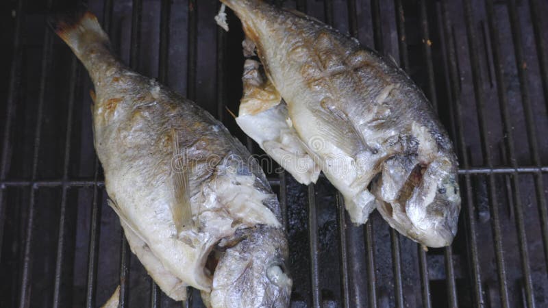 Top View of Two Fish Being Baked on the BBQ Grill. Stock Footage ...