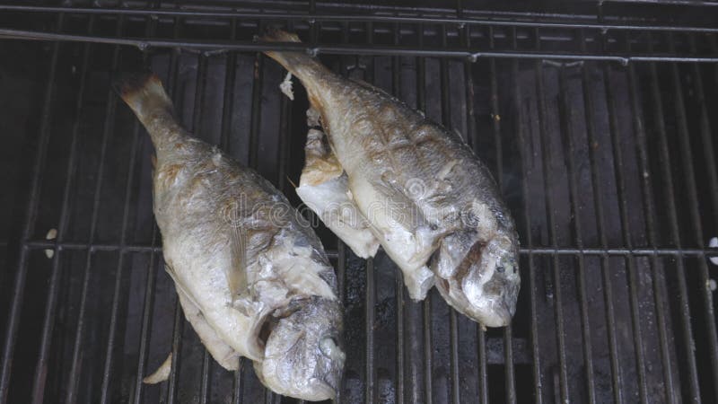 Top View of Two Fish Being Baked on the BBQ Grill. Stock Footage ...