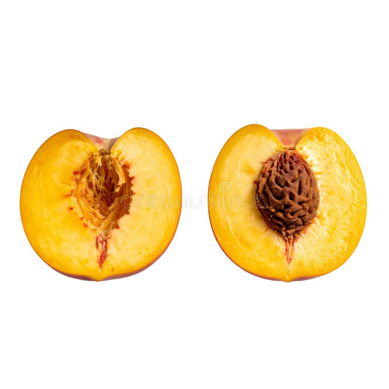 Top View of Two Symmetrical Peach Halves without Pits, Isolated on ...