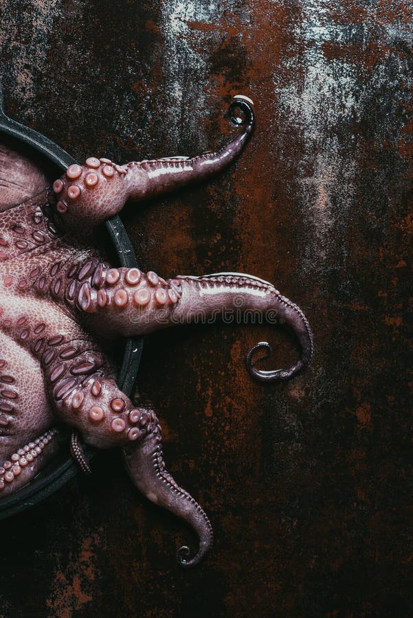 Rusty old saucepan stock image. Image of wood, rusty - 63201751