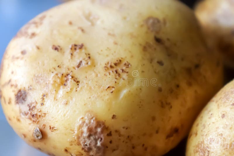 Top View at Uncooked Potatoes on a Metallic Surface. Kitchen Concept ...