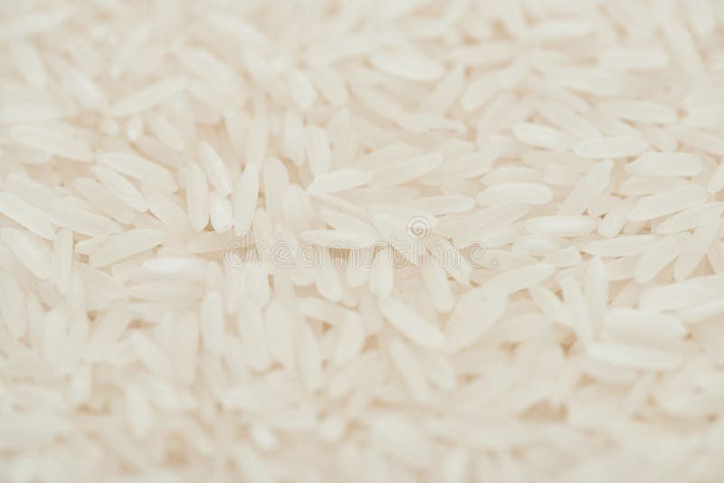 Unprocessed rice stock image. Image of close, agriculture - 210316091