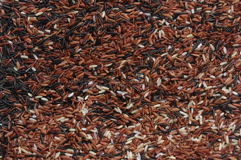 Top View of Various Varieties of Rice Stock Photo - Image of cooking ...