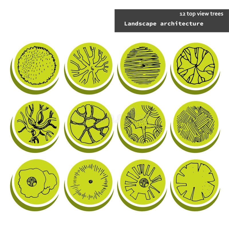 Top View Vector Set of Different Trees Badges.Hand Drawn Illustration ...