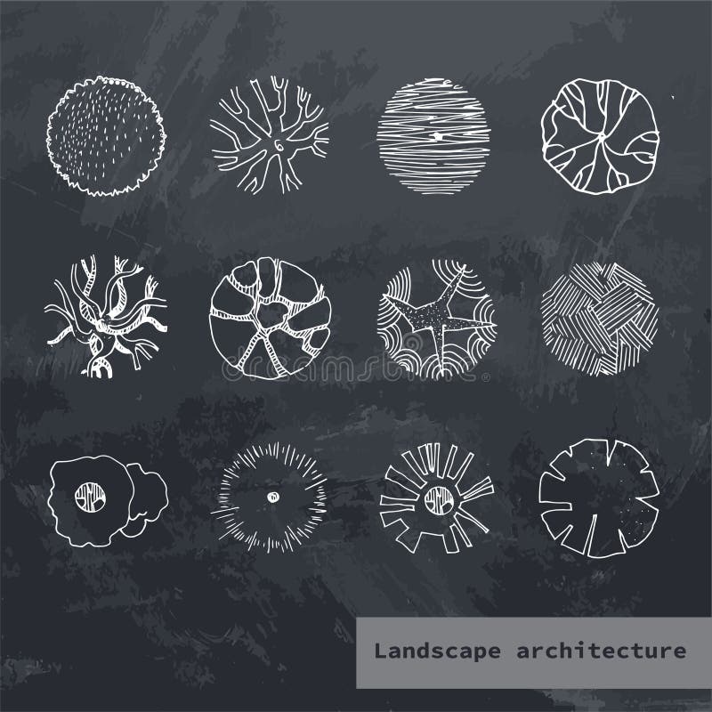 Top View Vector Set of Different Trees.Hand Drawn Illustration for ...