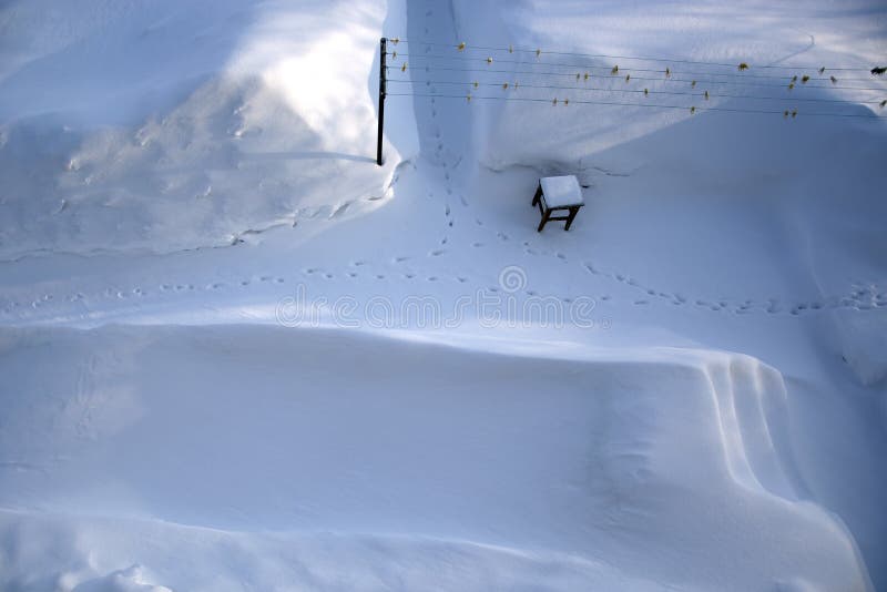 Top View of the Vegetable Garden in Winter. Cat Footprints in the Snow ...