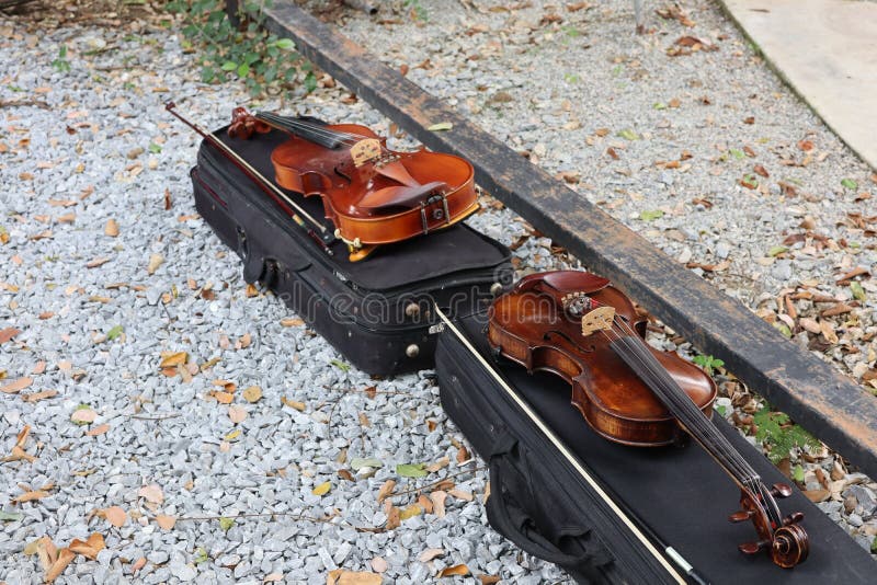 Top View Violin and Viola Instruments Placed on Black Box Orchestra ...