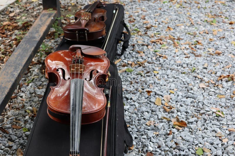 Top View Violin and Viola Instruments Placed on Black Box Orchestra ...