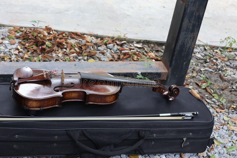 Top View Violin and Viola Instruments Placed on Black Box Orchestra ...
