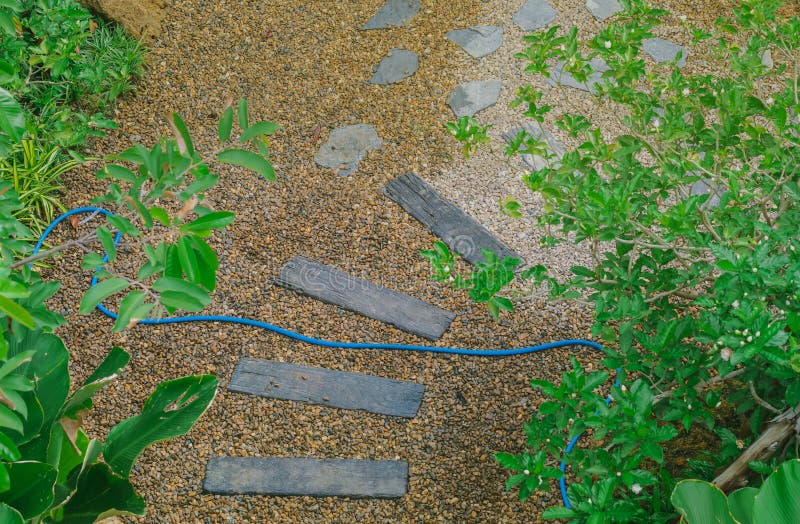 1,977 Top View Garden Pathway Stock Photos - Free & Royalty-Free Stock ...