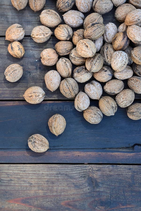 Top View on Walnuts in Their Shell Stock Image - Image of ingredient ...