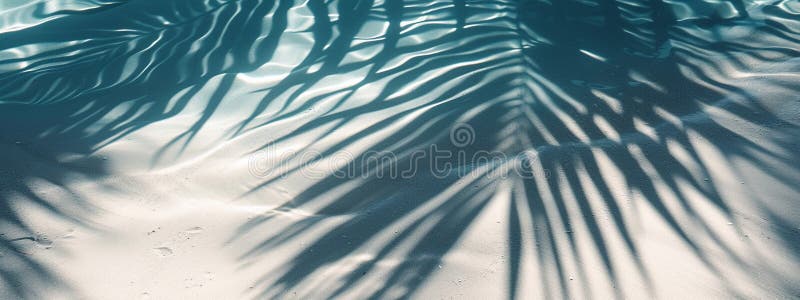 Top View of Water Surface with Tropical Leaf Shadow Stock Photo - Image ...