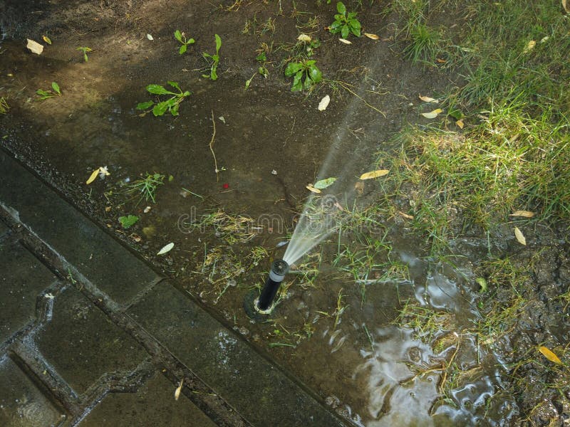Top View of Watering System with Puddle about Stock Image - Image of ...