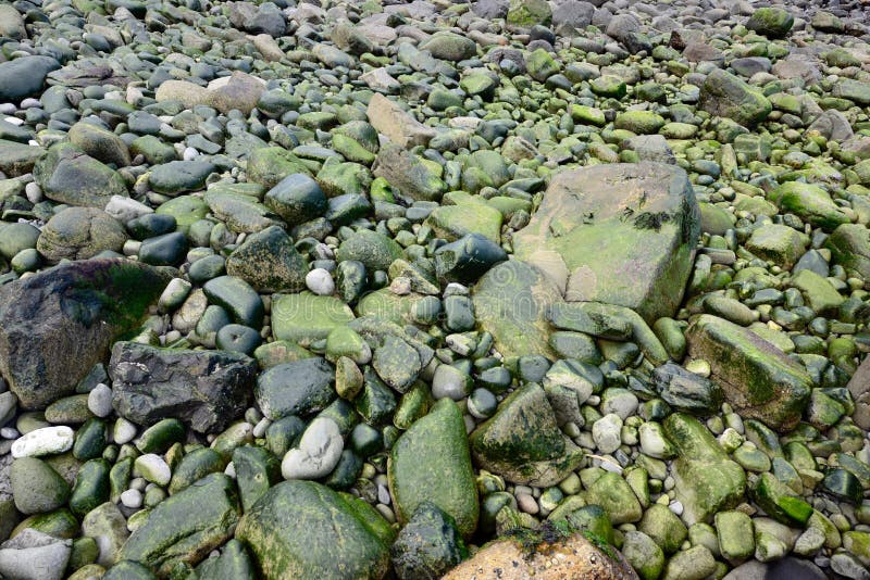 Top View of Wet Green Pebbles of Different Sizes Stock Image - Image of ...