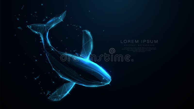 Top View Whale. Low Polygonal, Wireframe, Linear and Mesh Illustration ...