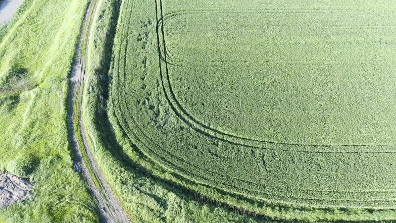 The Top View of the Wheat Field and the Channel of the Irrigation ...