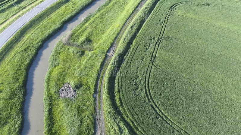 Field channel stock image. Image of field, farmland, ditch - 50494539