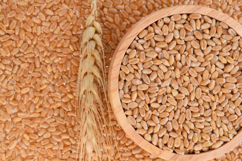 Top View of Wheat Grain Background Stock Image - Image of diet, grains ...