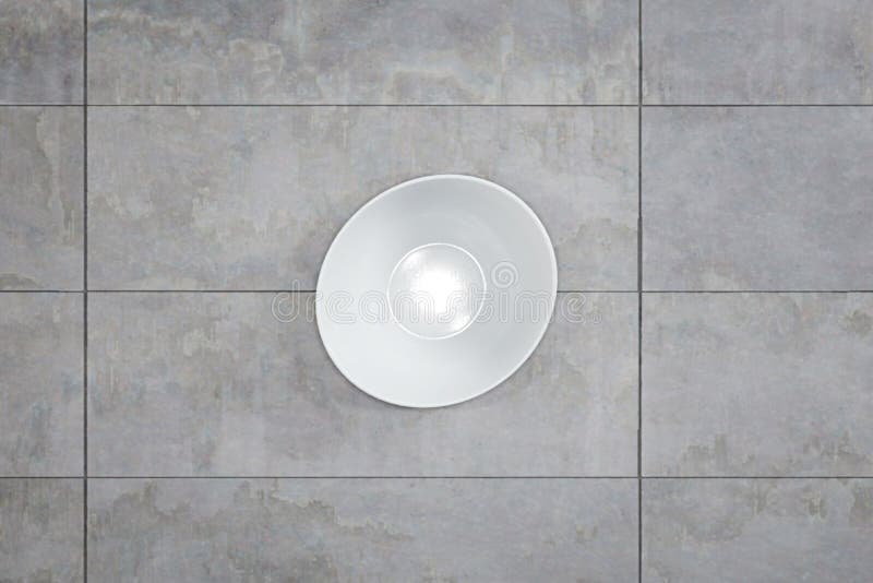 Top View of a White Deep Small Plate with Its Shadow Lying on a Gray ...