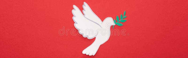 Top view of white dove as stock image. Image of backdrop - 190351599