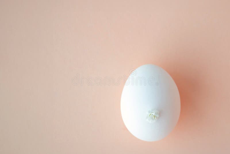 Top View of a White Egg with an Easter Bunny Tail Made from a White ...