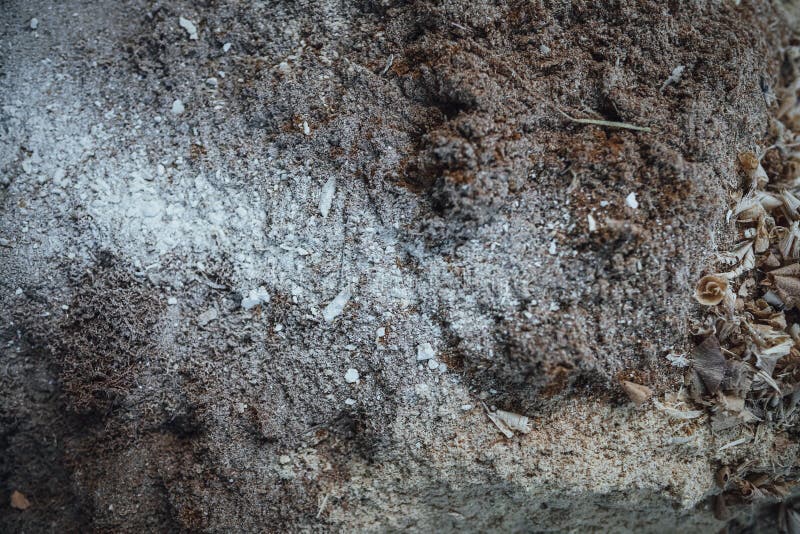 Top View of White Markings on the Ground Stock Image - Image of sign ...