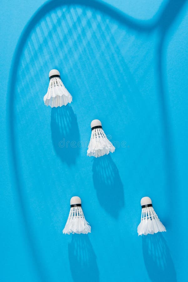 Top View of White Shuttlecocks and Badminton Racket Shadow Stock Photo ...