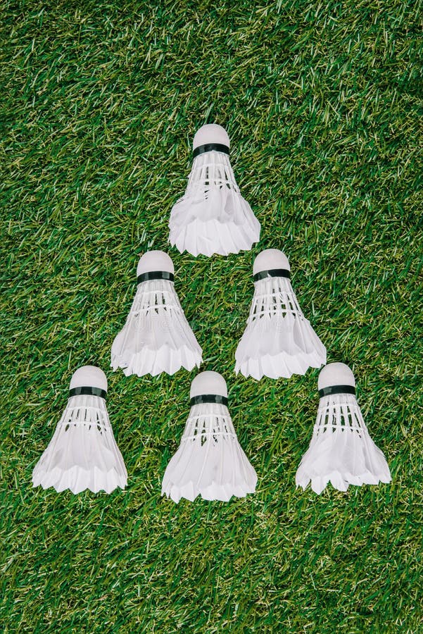 Top View of White Shuttlecocks for Playing Badminton Arranged Stock ...
