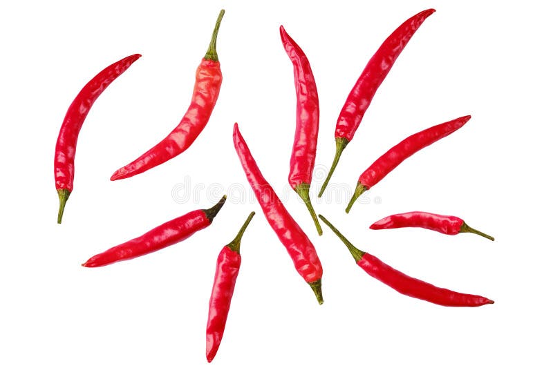 Top View of Whole Baby Chilli Pepper Stock Photo - Image of background ...