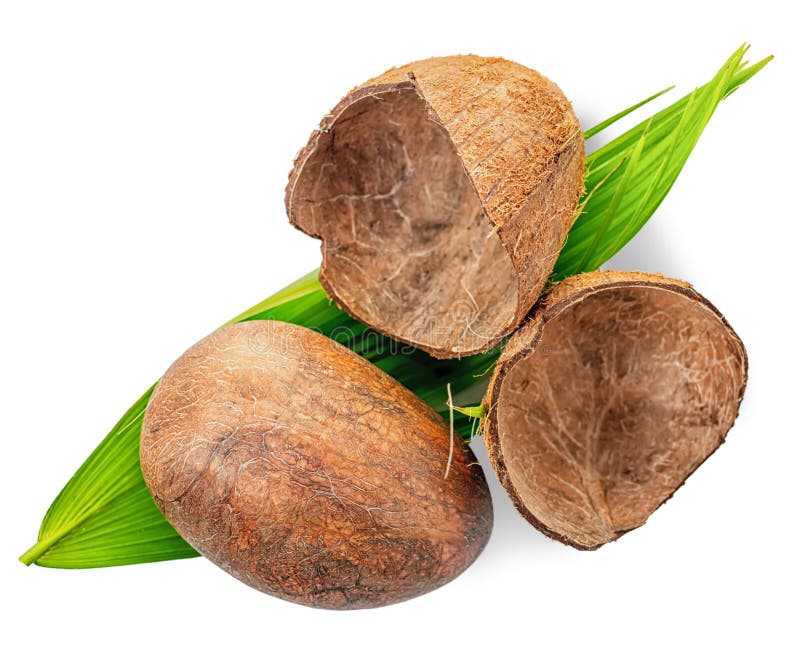 Top View Whole Coconut with Shell and Green Leaf Stock Photo - Image of ...