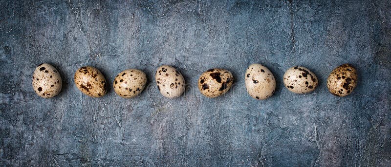 Top View on Wide Banner with Small Quail Eggs Stock Photo - Image of ...