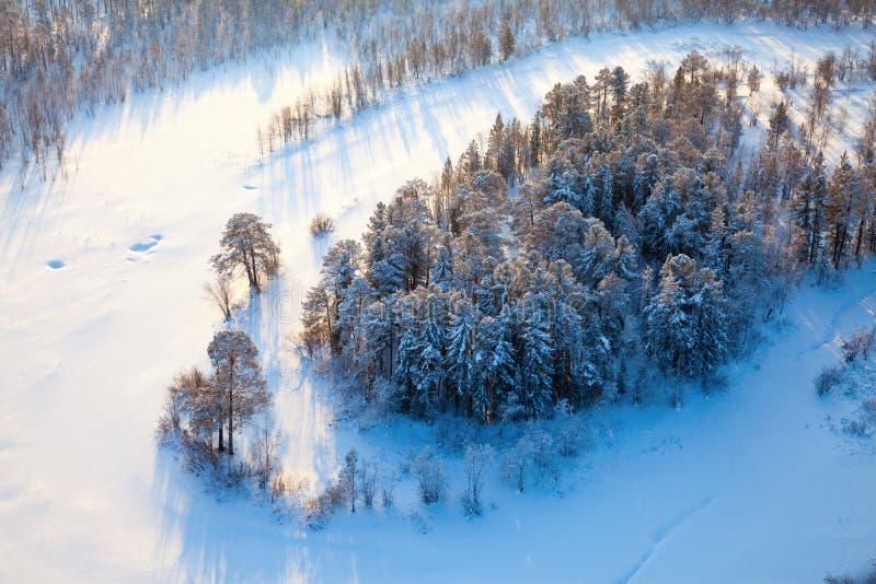 Top view of winter forest stock photo. Image of cool - 30731166