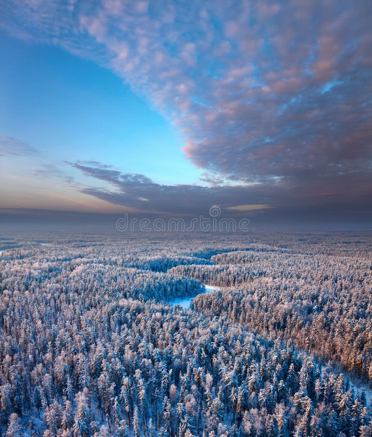 Top view of winter forest stock image. Image of nature - 36238265