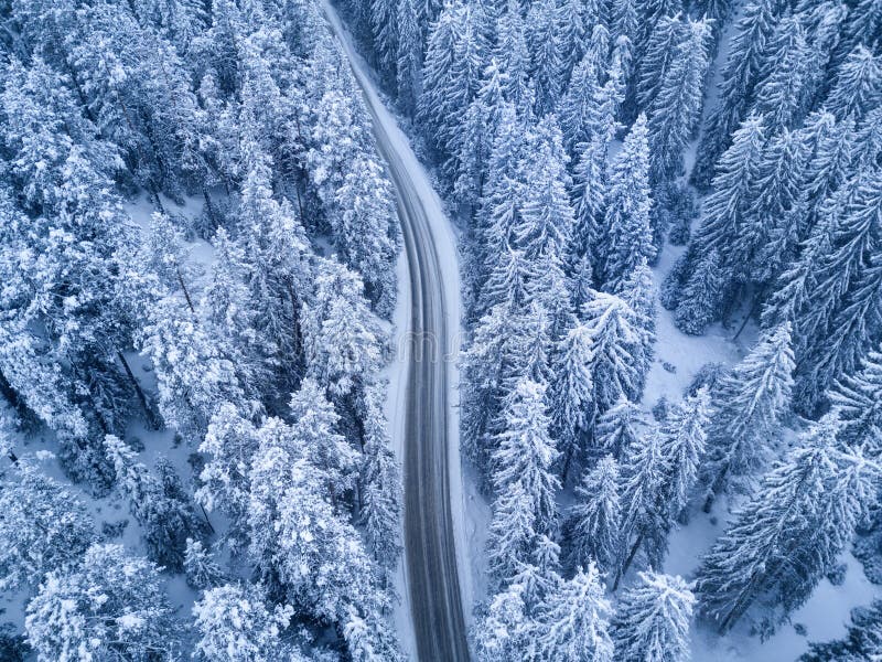 Top View of Winter Forest and Road Stock Photo - Image of nature ...