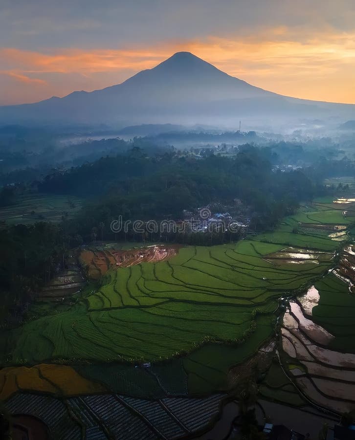 Top view from wonosobo stock photo. Image of sunrise - 254834894